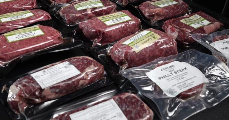 American Grazed Beef Review 2025: Agridime’s Evolution