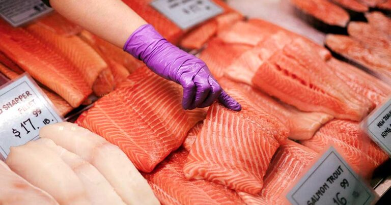 2026 Farm-Raised Vs. Wild Salmon: Which Is Better?